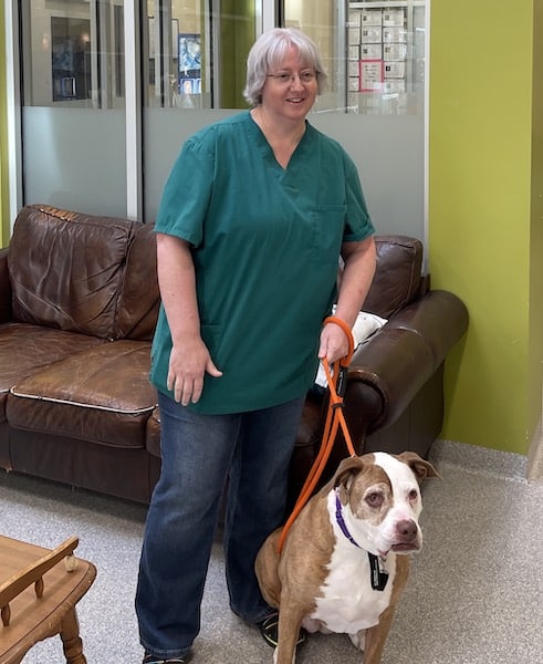 New manager at Helping Strays - Republic-Times | News