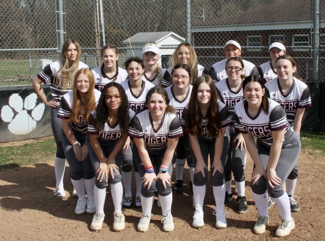 Dupo softball putting in the work - Republic-Times | News